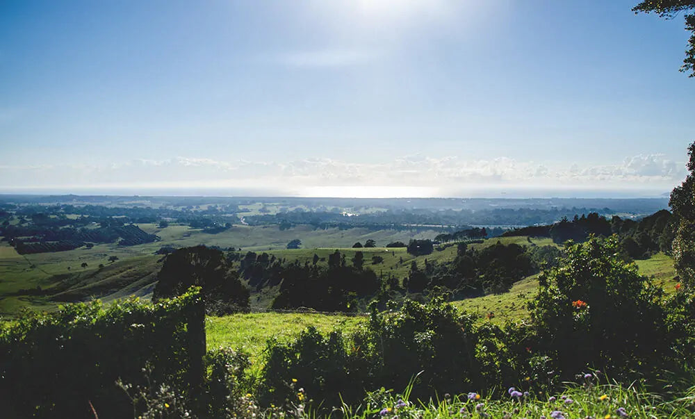 A day in Federal – Byron Bay Hinterland – us.sienna.co